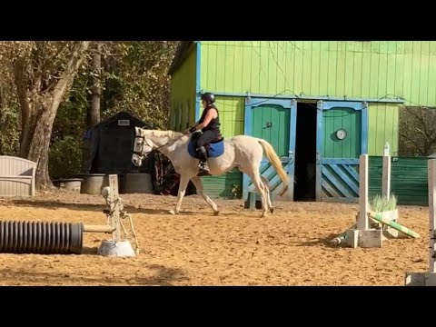 11.4.2023 PIVO Jenna & Chloe Light Flatwork - YouTube