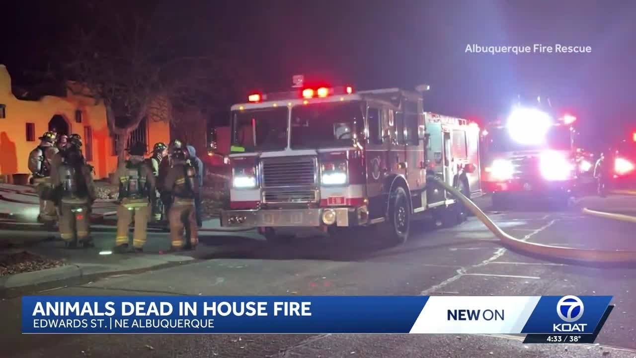 Multiple animals die in house fire in Albuquerque - YouTube