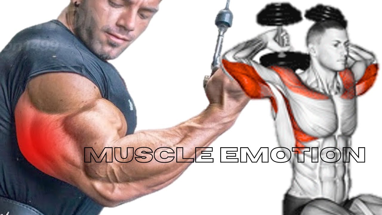 12 BEST TRICEPS EXERCISES THAT YOU NEVER DID AT GYM - YouTube