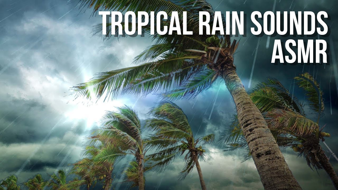 Tropical RAIN Sounds to Sleep soothe - Rain Sounds For Sleeping ...