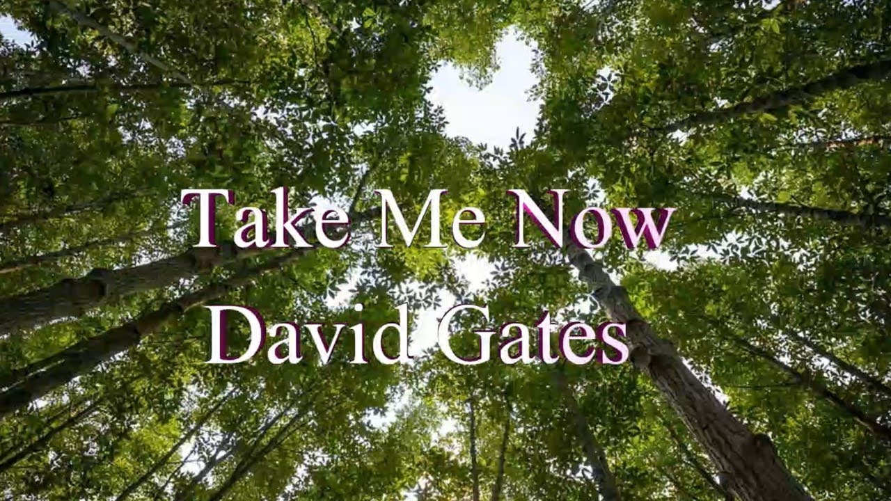 David Gates - Take Me Now (lyrics) - YouTube