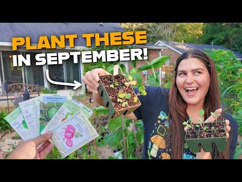 Plant These Crops in September for an Incredible Fall Harvest!