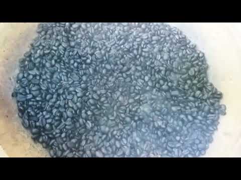 Menggoreng   kopi