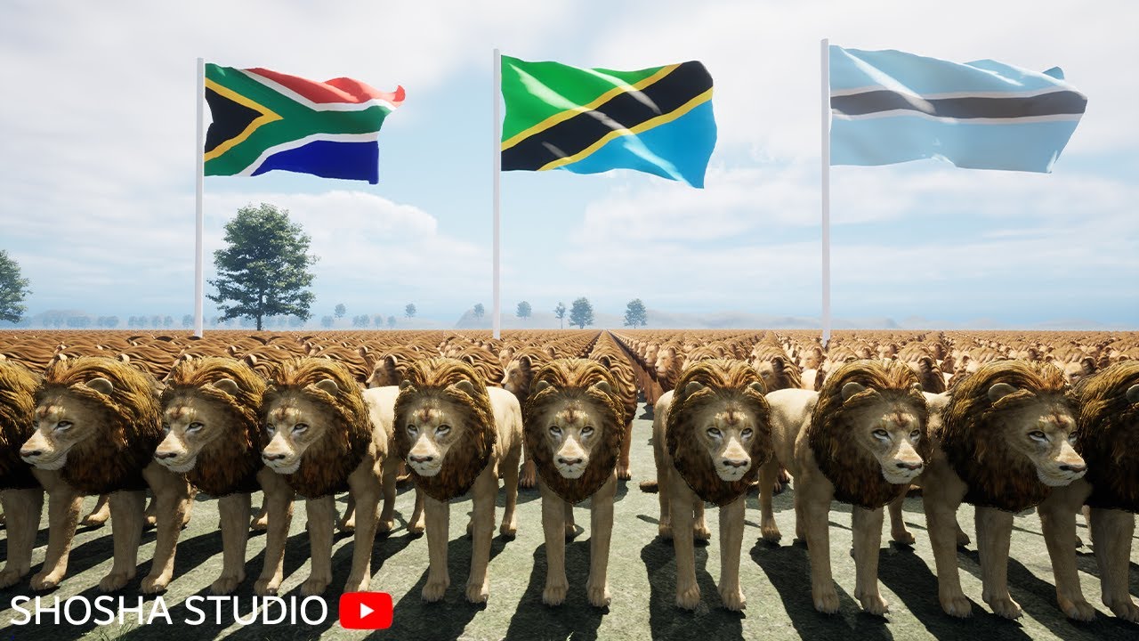 Lion population by country 2023 - YouTube
