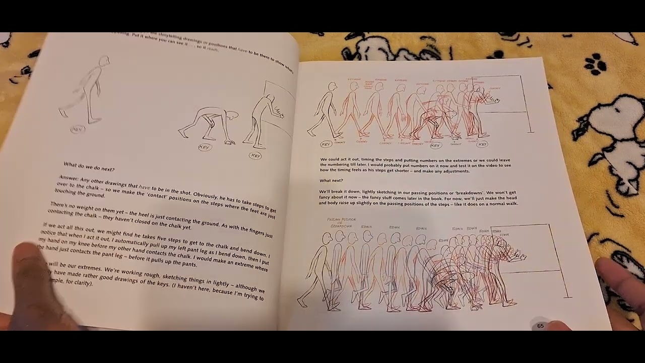The animators' survival kit book review - YouTube