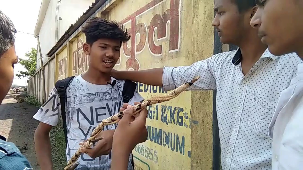 htttp;//DEVA vines 98 .com - YouTube