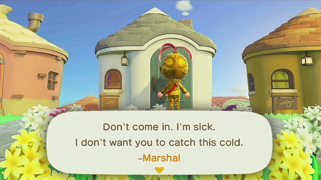 Why Do Sick Villagers Turn You Away? - YouTube