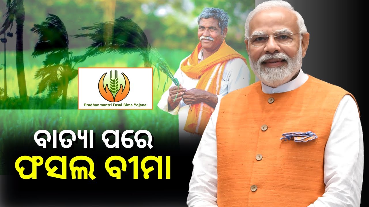 PMFBY New Update 2023 || Pradhan Mantri Fasal Bima Yojana 2023 || PMFBY ...