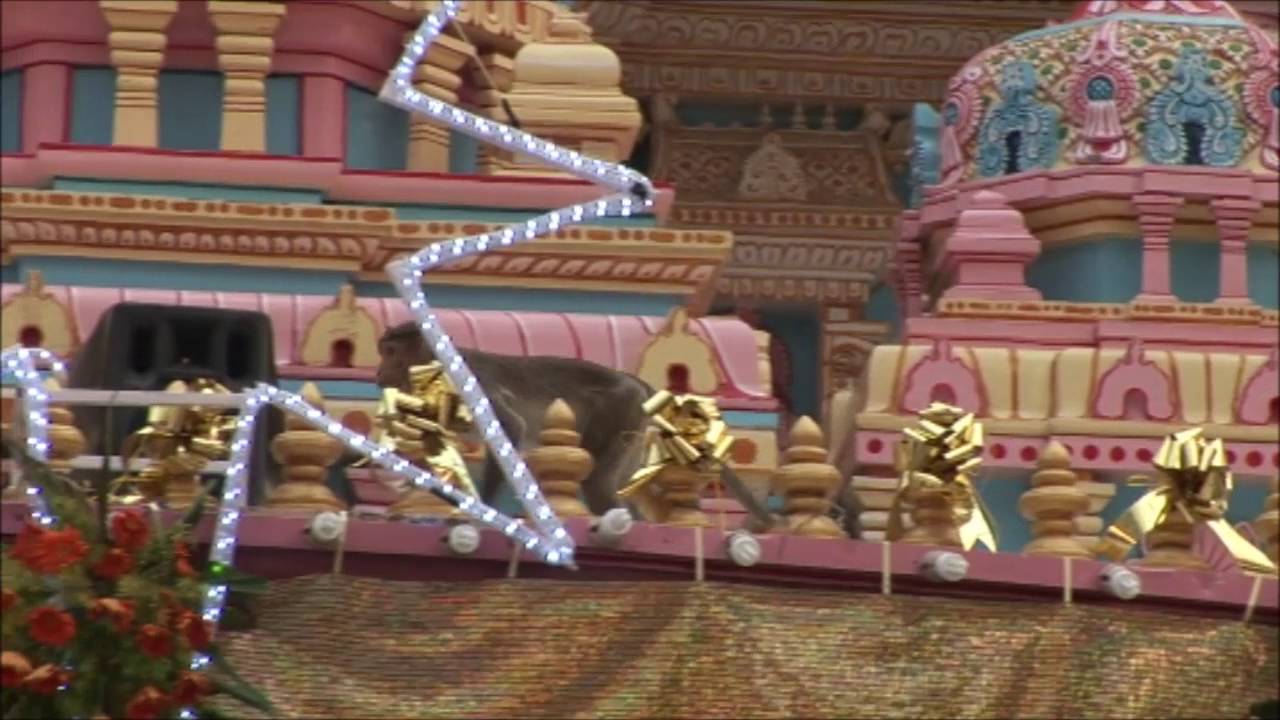 Christmas 2011 childrens choir and monkey - YouTube