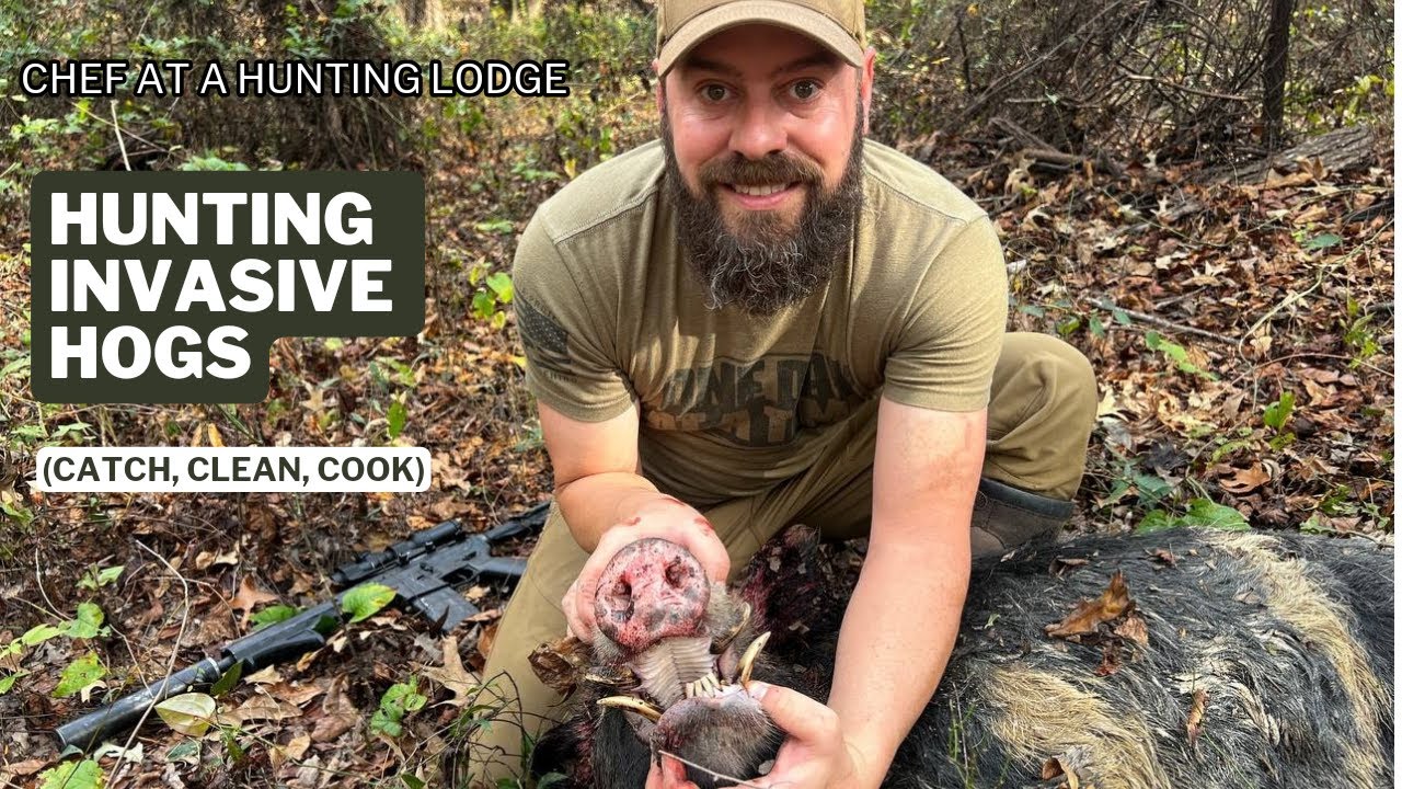 Hunting the invasive wild boar while working my Private Chef job ...
