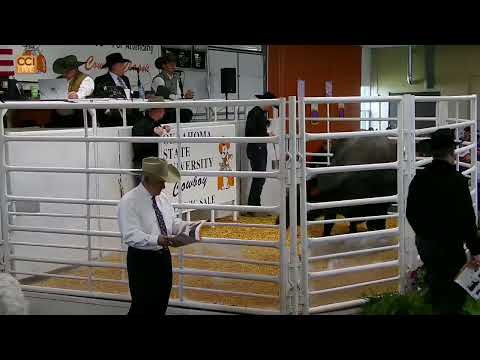 46th Oklahoma State University "Cowboy Classic", Stillwater, OK - YouTube