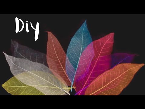 How to make leaf skeleton at home step by step process - YouTube