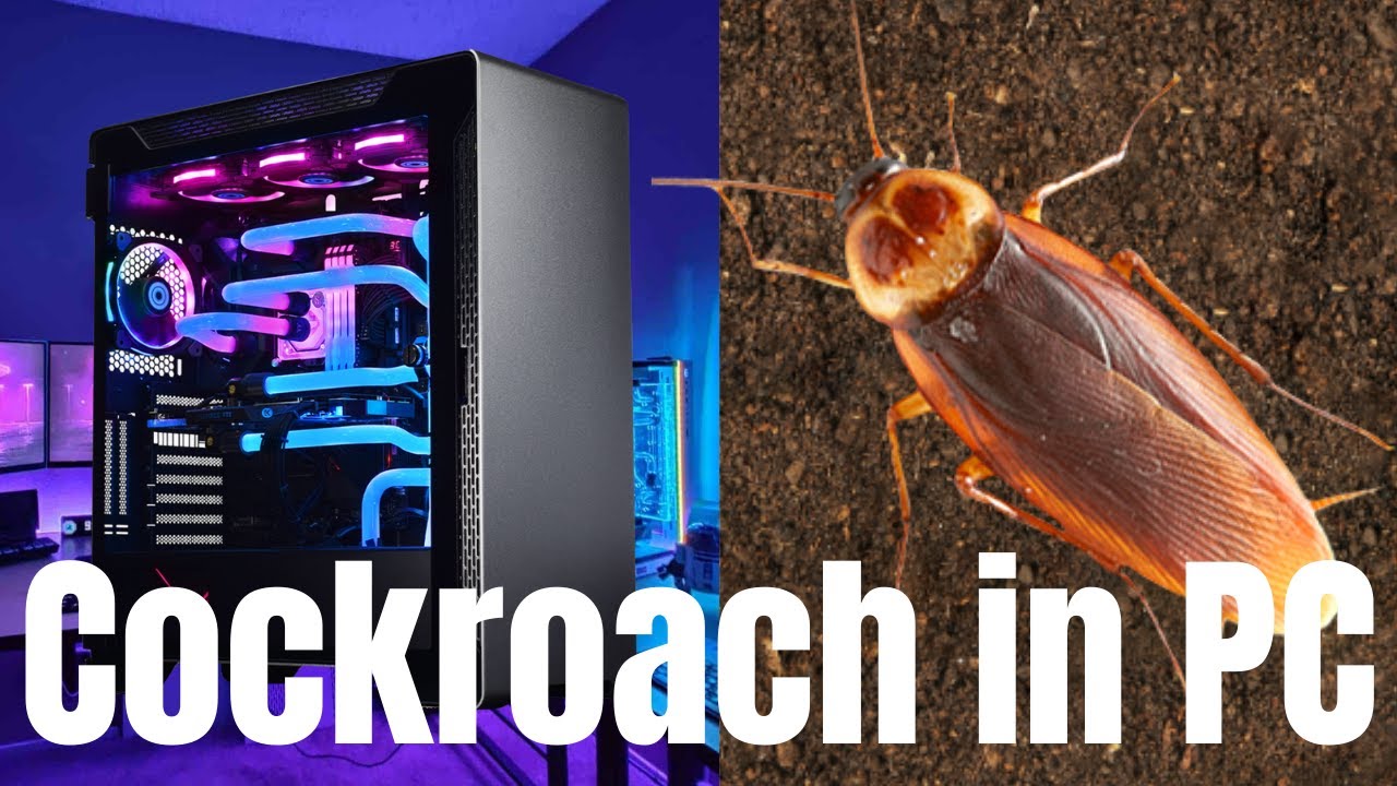 Cockroach in PC - YouTube