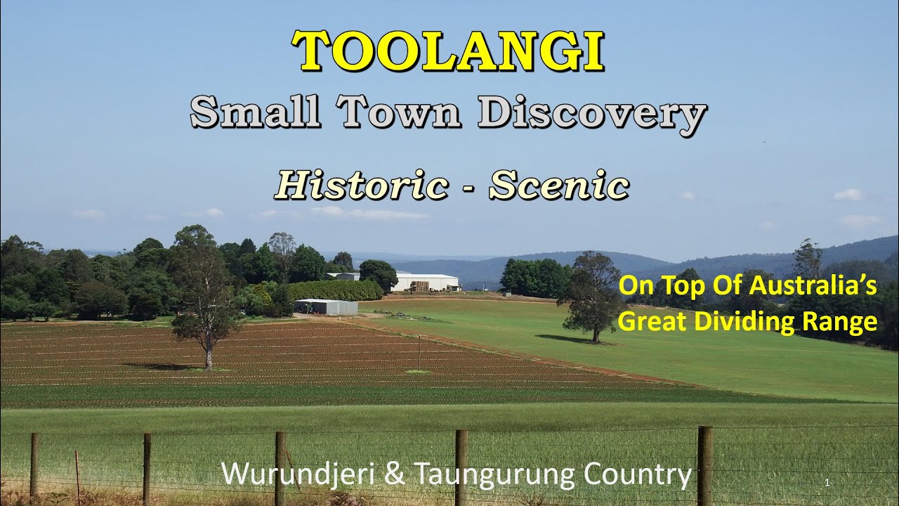 Toolangi - On Top of Australia's Great Dividing Range History Scenery ...