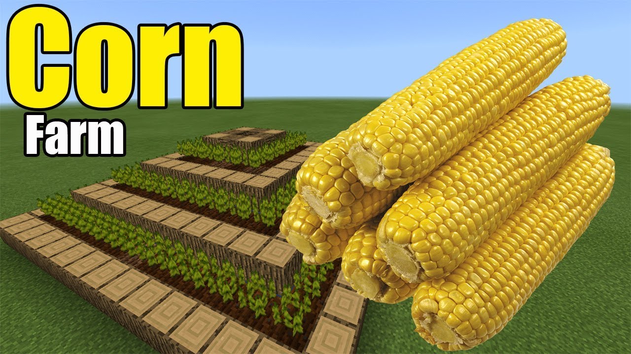 Corn Farm | Minecraft PE - YouTube