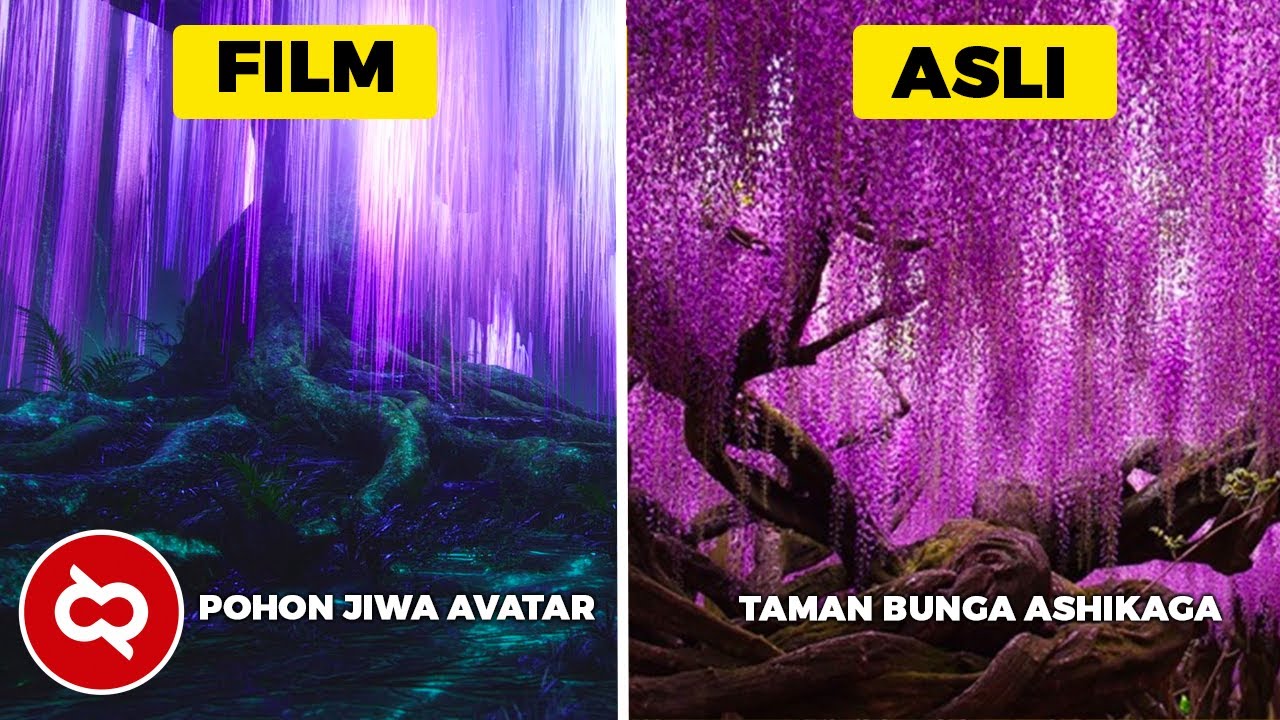 Ternyata Ini Lokasi Aslinya! Tempat Ajaib dari Film Hollywood yang Ada ...