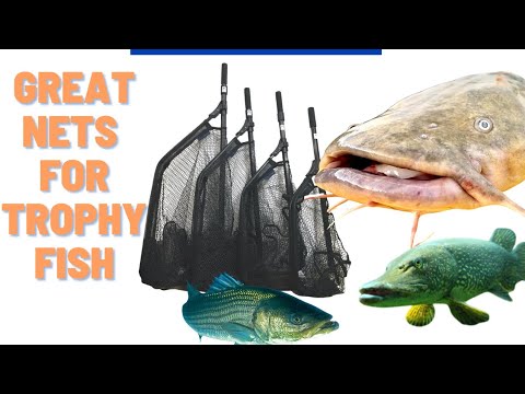 Choosing The Right Net Size To Land Trophy Fish - Lee Fisher Sports Joy ...