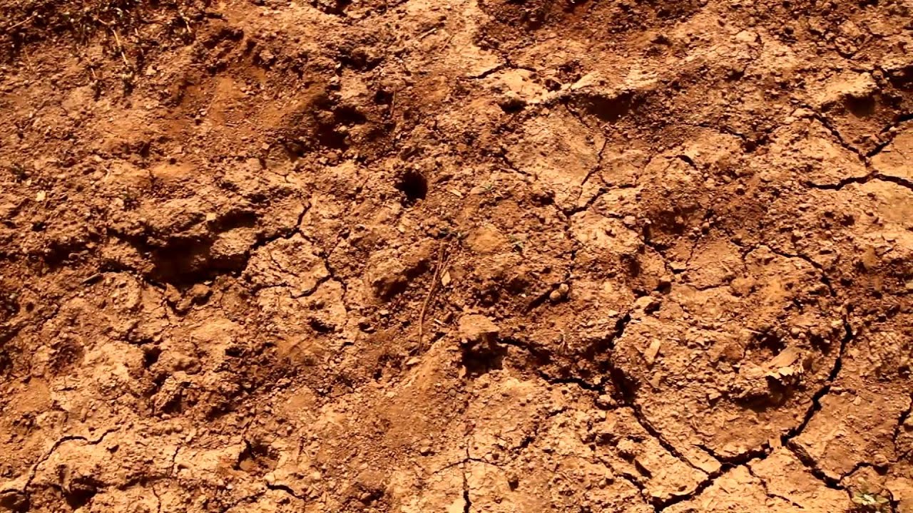 Aarde element - YouTube