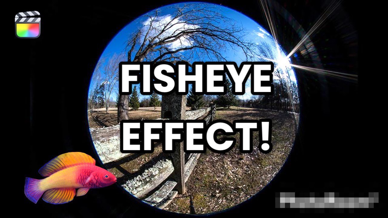FISHEYE EFFECT In Final Cut Pro X - YouTube