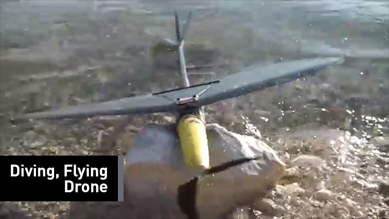 It's a Diving Bird! It's a Flying Fish! It's... a Drone! - YouTube
