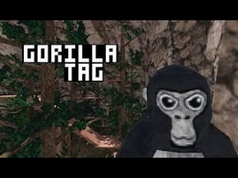 Gorilla Tag! Public Lobby Infection. - YouTube