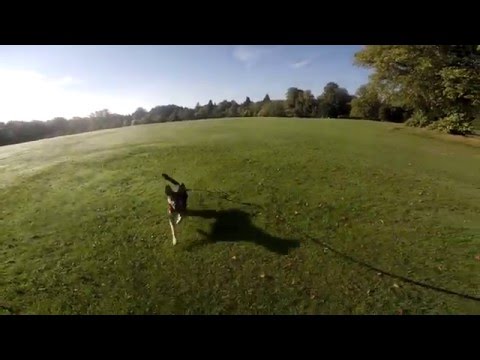 Emergency stop training - part 1 - YouTube