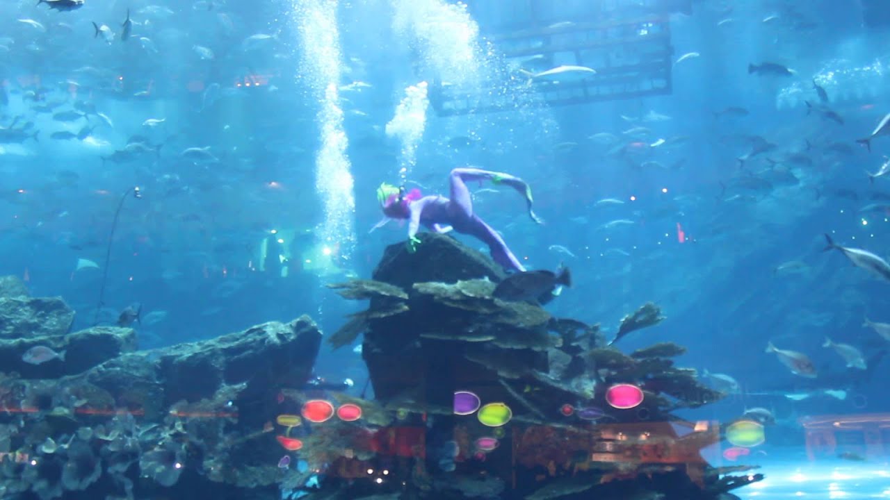 Mermaid with 2 legs @ Dubai Mall 2013 - YouTube