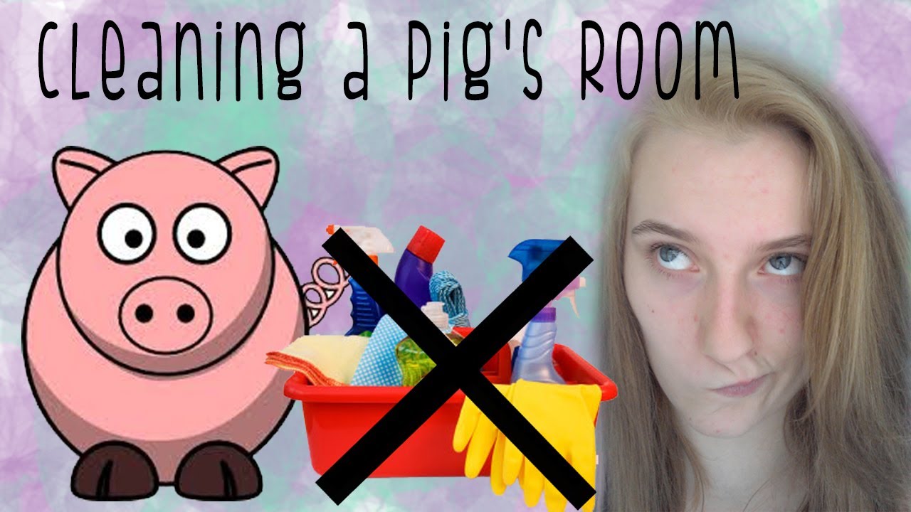 Cleaning a pig's room! - YouTube