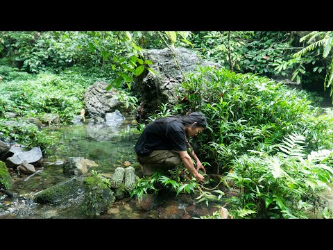Baskets full of fish, Wilderness Alone, ep 139