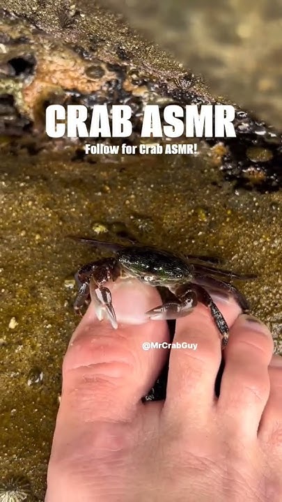 #crab - YouTube