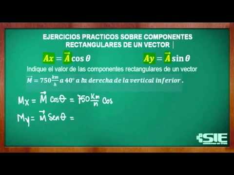 Componentes Rectangulares De Un Vector Ejercicio 3 - YouTube