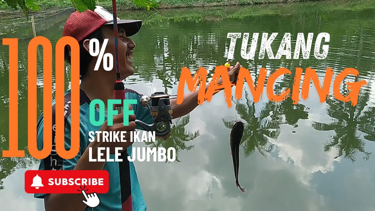 Mancing mania || Mancing ikan lele dumbo pakai umpan cicak bakar gays, - YouTube