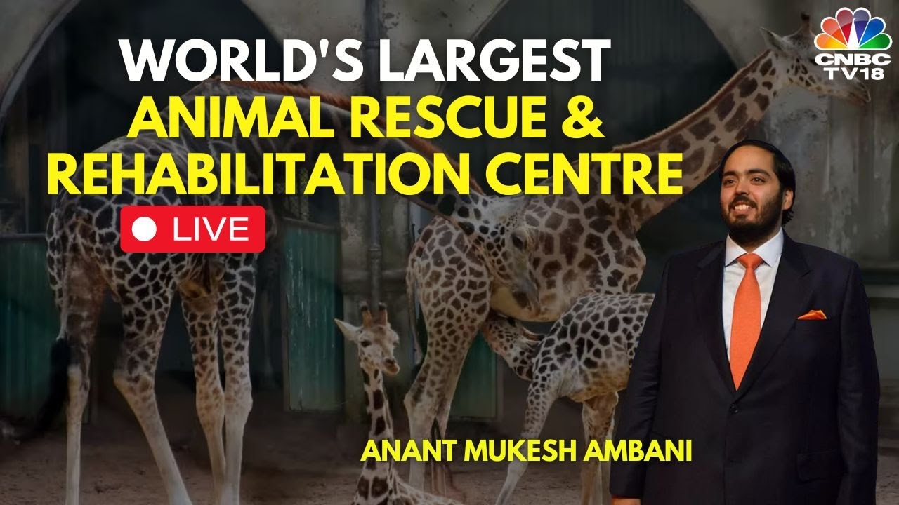 'Our Whole Family Loves Animals' | Anant Ambani Exclusive LIVE | Mega ...