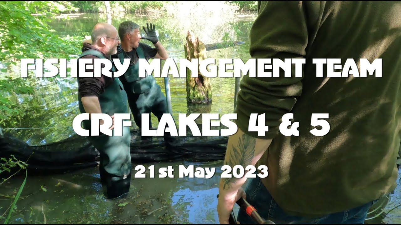 Nicospan FMT - CRF - YouTube