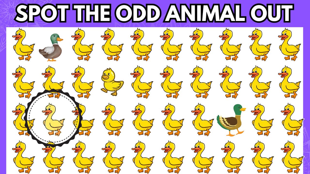 Spot the odd one out : five games for your skill development. - YouTube