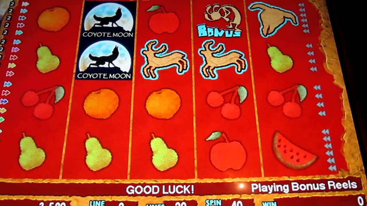 Coyote Moon slot machine Bonus game - YouTube
