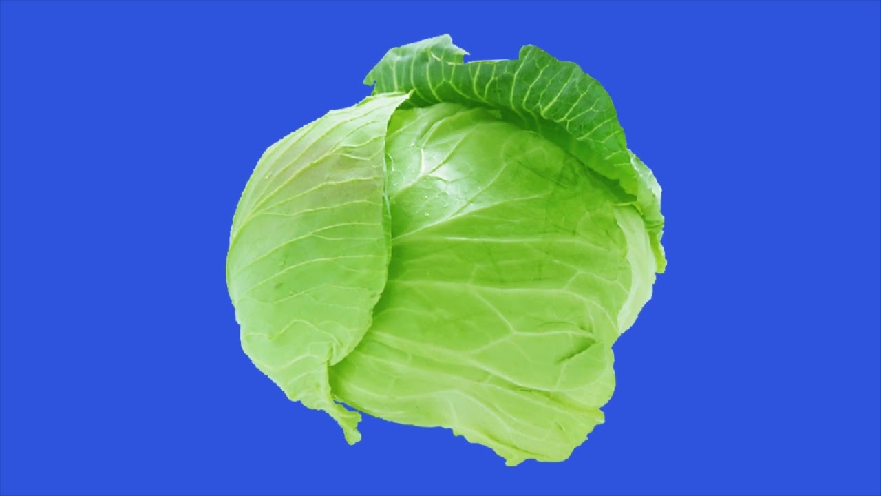 Vegetable cabbage green screen Variable effects ANIMATION effects ...