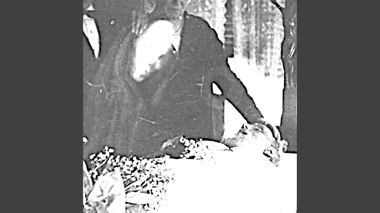 Mind Decomposing I - YouTube