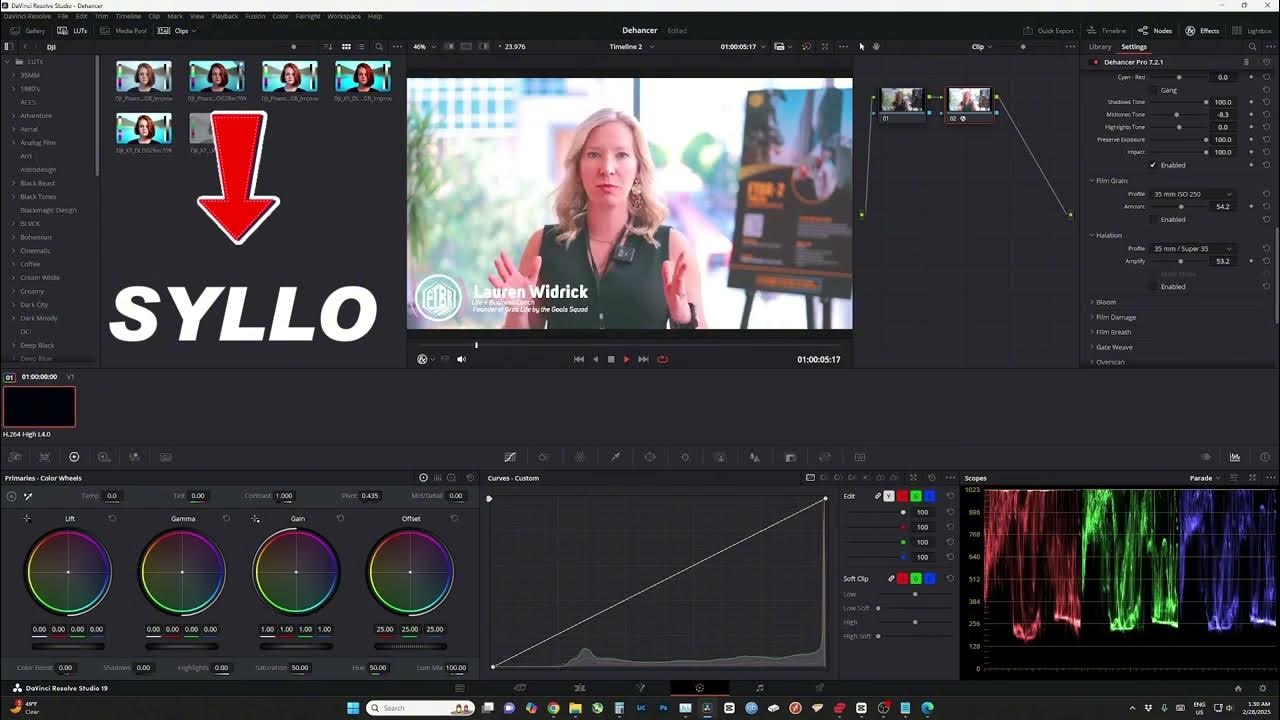 Dehancer | Davinci Resolve - YouTube