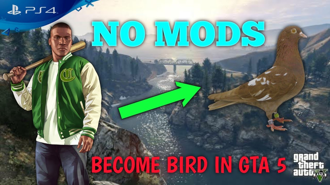 HOW TO BECOME A BIRD IN GTA 5 (WITHOUT MOD) - YouTube