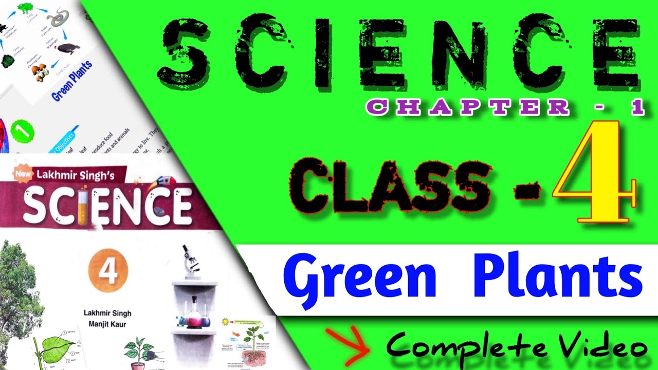 Class 4 Science chapter 1// Green Plants / 4th Class English medium ...