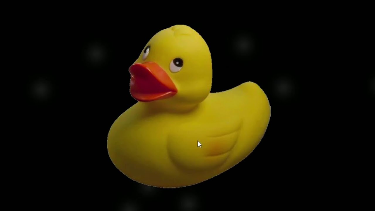 D U C K YouTube d-u-c-k-youtube