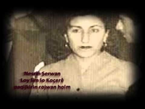 Nesrin Şerwan  Loy lim lo Koçerê