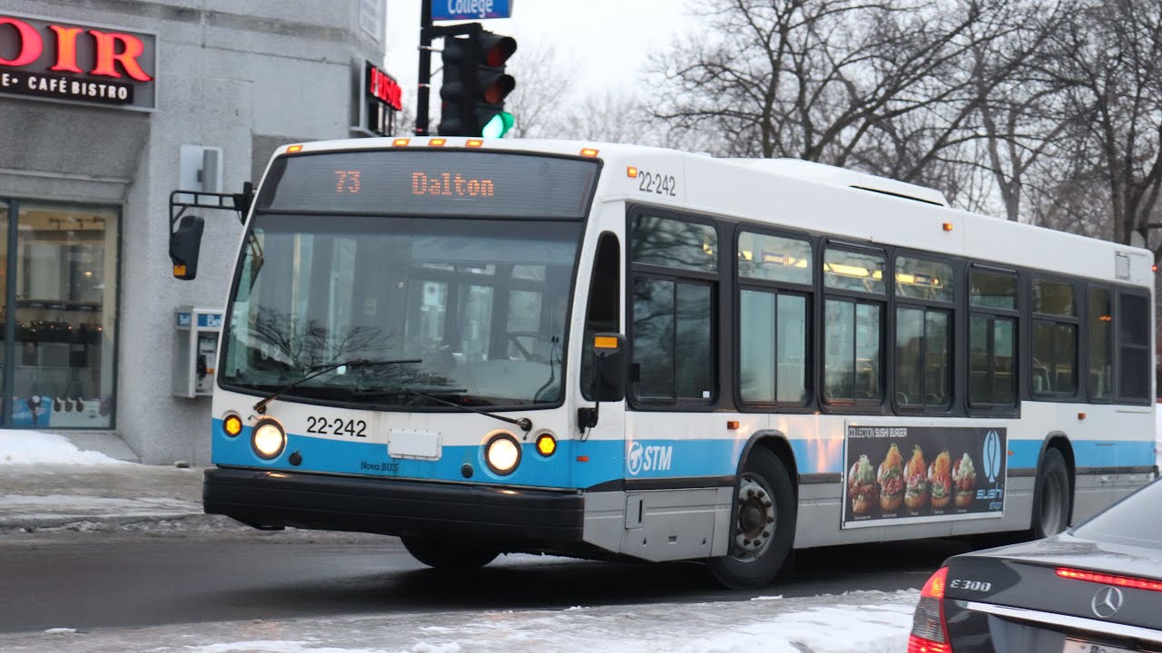 Once Again A Ride In STM 22-242 On The 73 Dalton! (2002 NovaBUS LFS ...