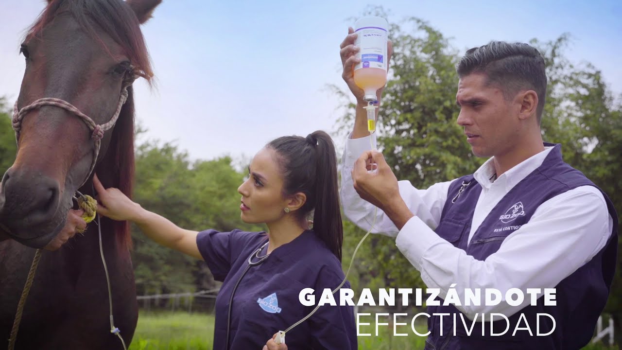 BIO ZOO | Presentación institucional 2021 - YouTube