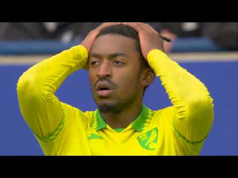Leicester City v Norwich City Highlights