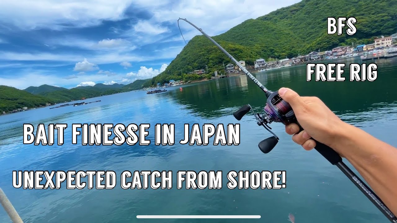Bait Finesse Fishing in Japan with Free Rig. Rare catch from shore ...