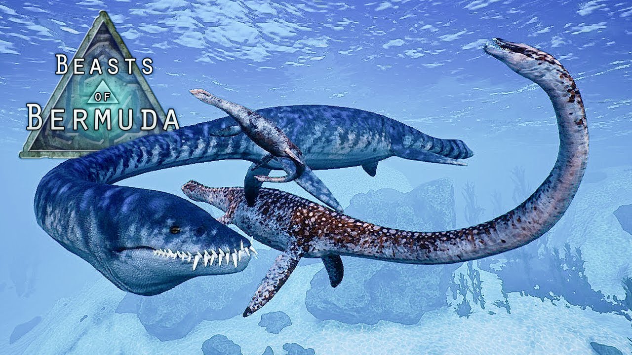 Life of Elasmosaurus | BABY ELASMO | BEASTS OF BERMUDA - YouTube