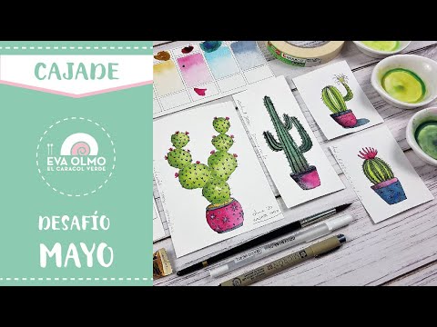 💚Desafío Cajade Mayo💚