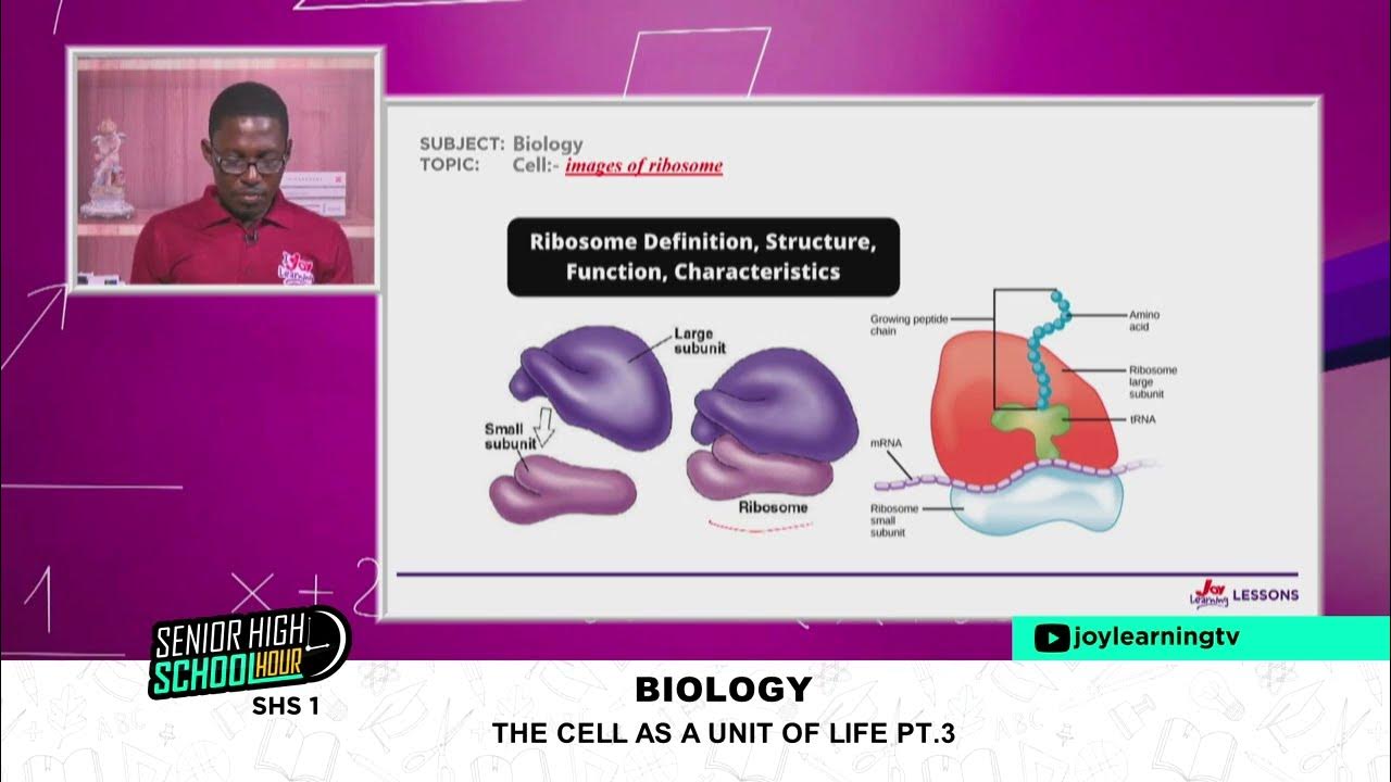 SHS 1 - Biology - The cell as a unit of life - Part 3 - YouTube